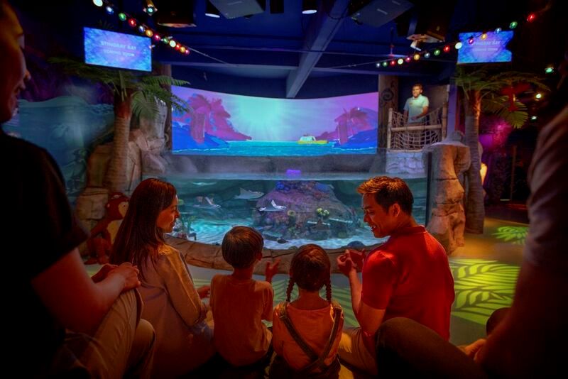 Stingray Bay Experience | SEA LIFE Malaysia