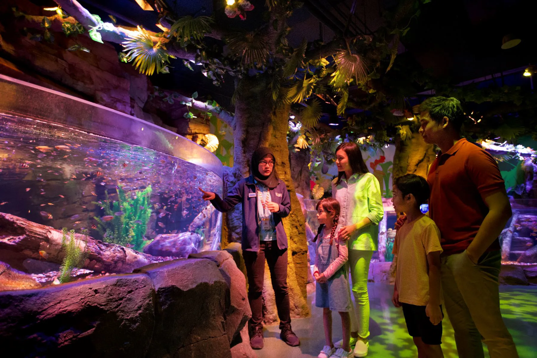 Malaysian Rainforest Habitat Zone | SEA LIFE Malaysia