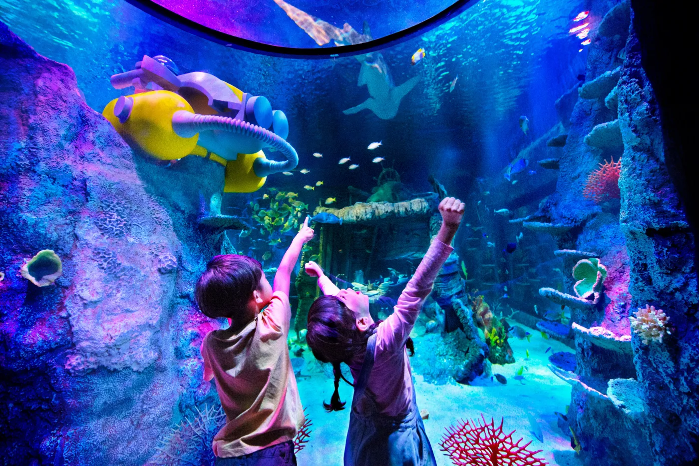 Sea Life Programs | Schools | LEGOLAND® Malaysia Resort